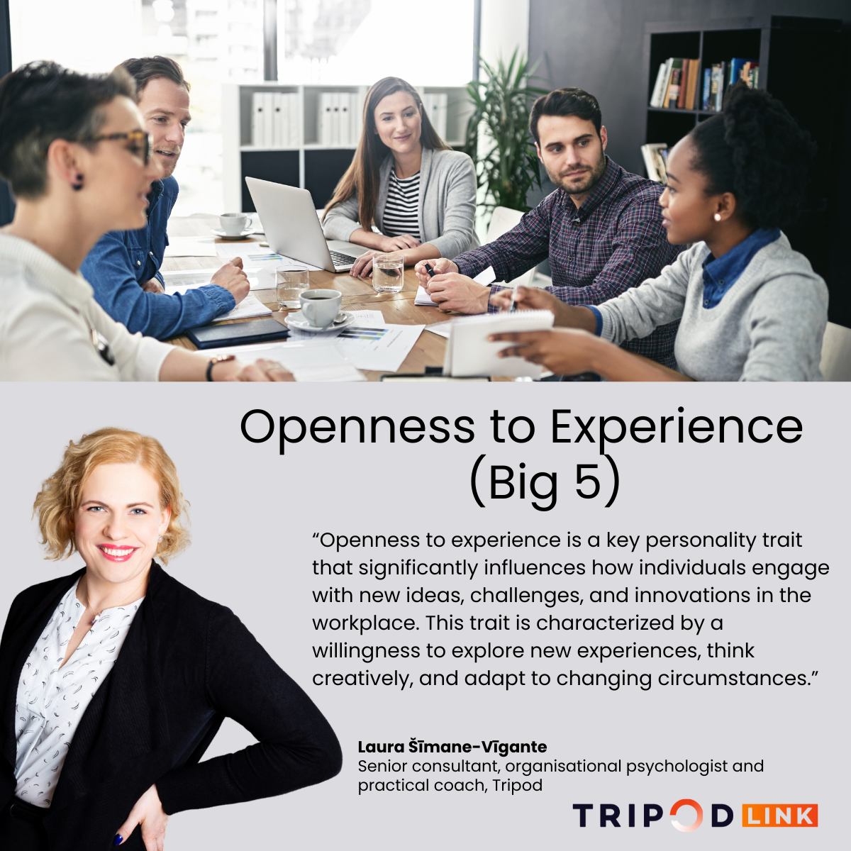 Openness to Experience - Staff search and selection | Tripodlink.lv